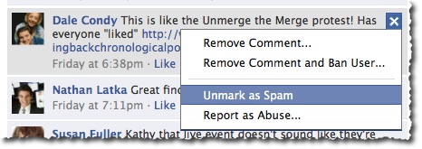Facebook Page - Comment Unmark Spam - Mari Smith