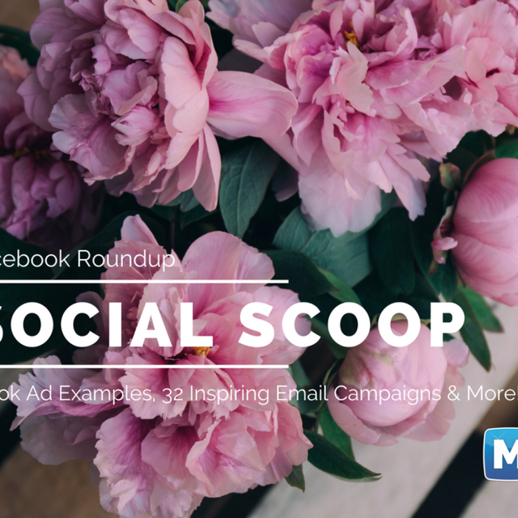 10 Effective Facebook Ad Examples 6 Facebook Updates 32 Emails